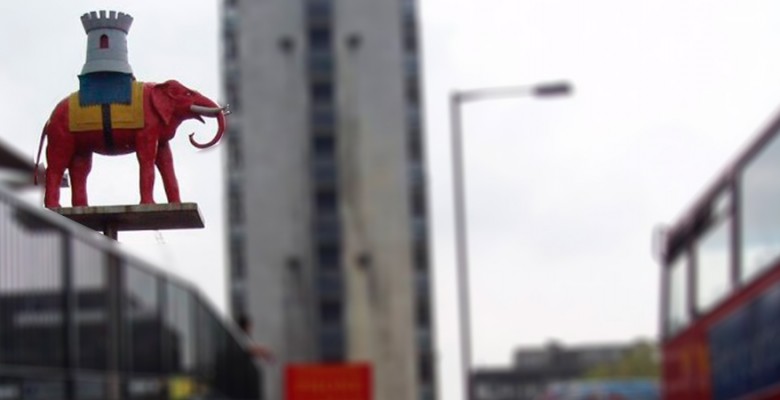 Home - Latin Elephant